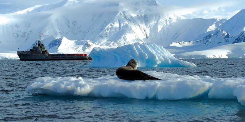Inicio - Armada de Chile