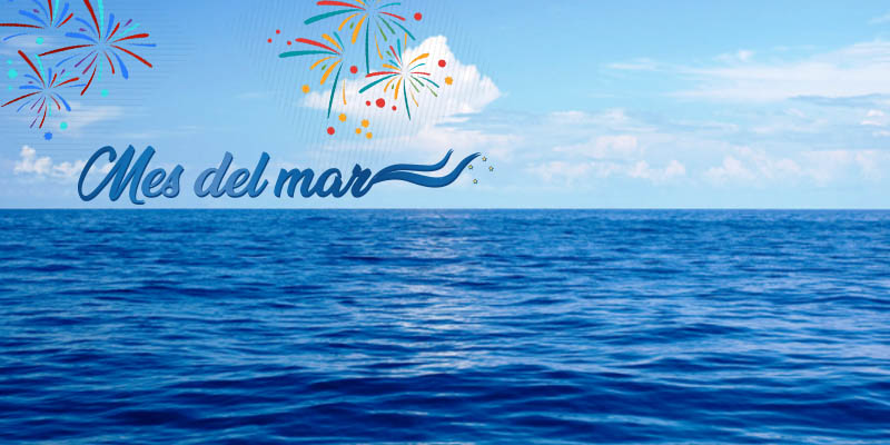 Inicio - Armada de Chile